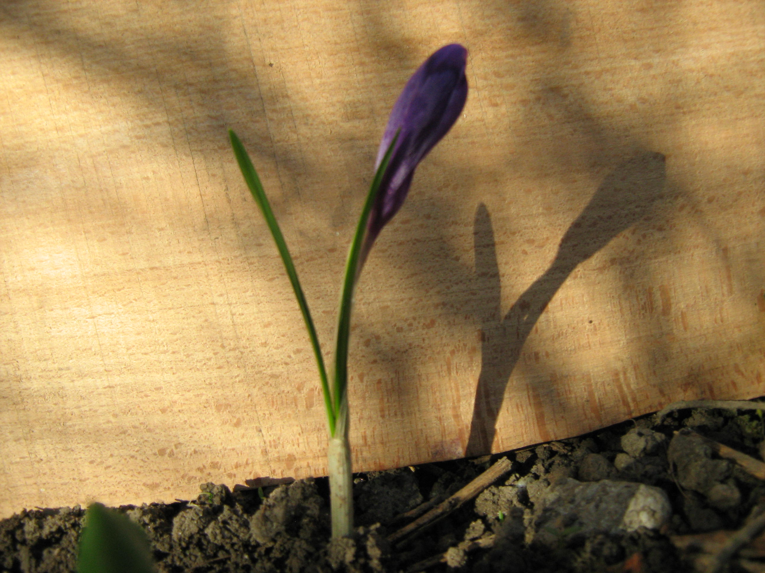 Az évszaknak megfelelő meleg, de zivataros időre számíthatunk